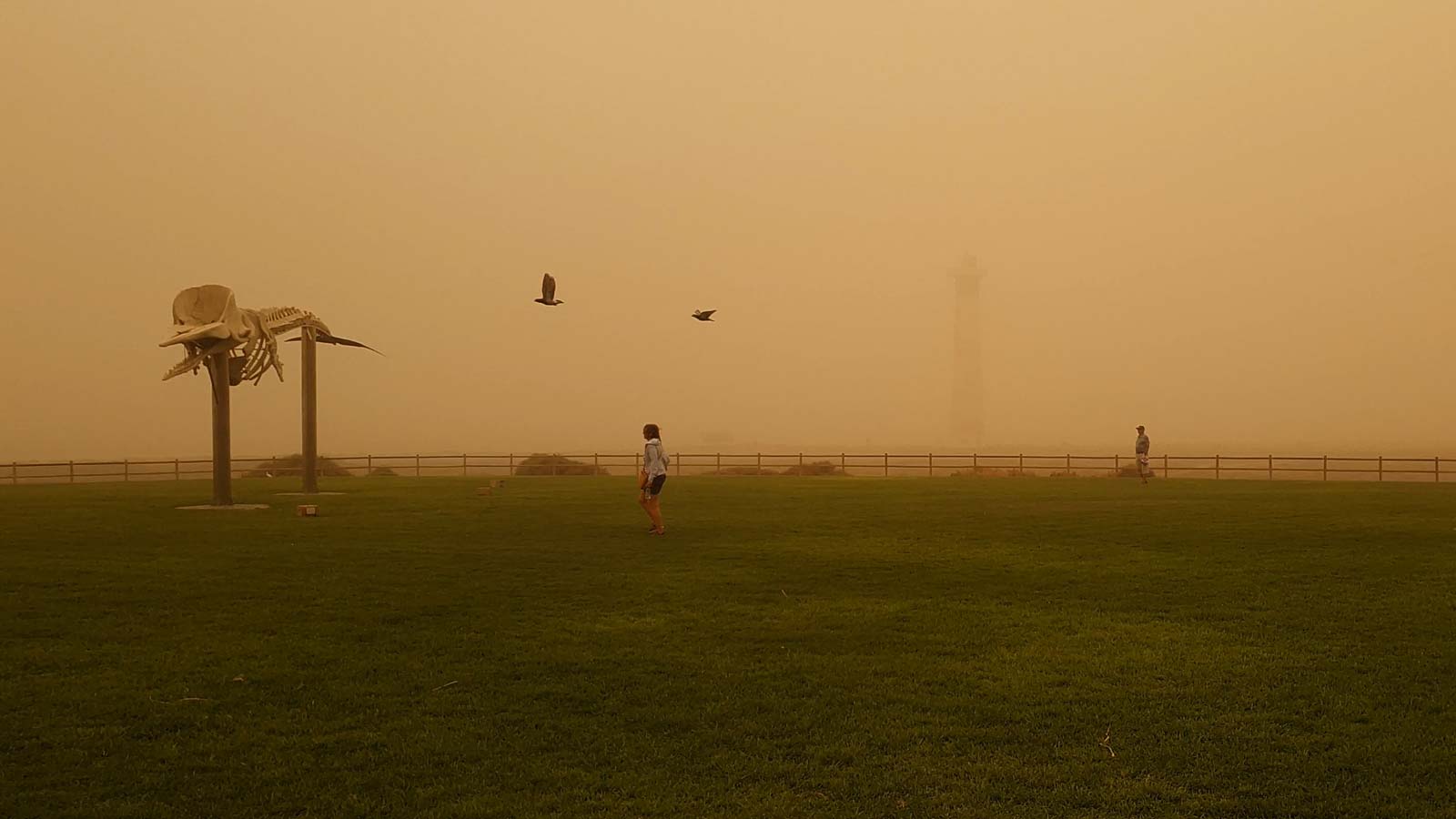 Unwetterwarnung der Stufe „gelb“ für Fuerteventura wegen Calima und ...