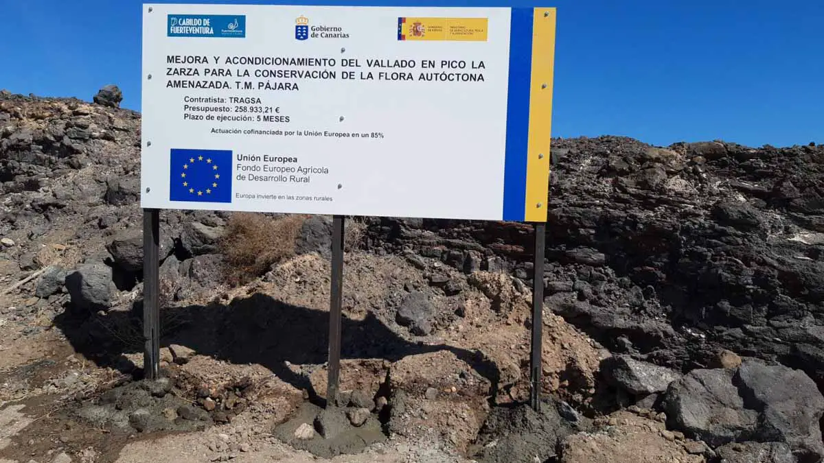 Schutzmaßnahmen an Fuerteventuras höchstem Berg Pico de la Zarza ...